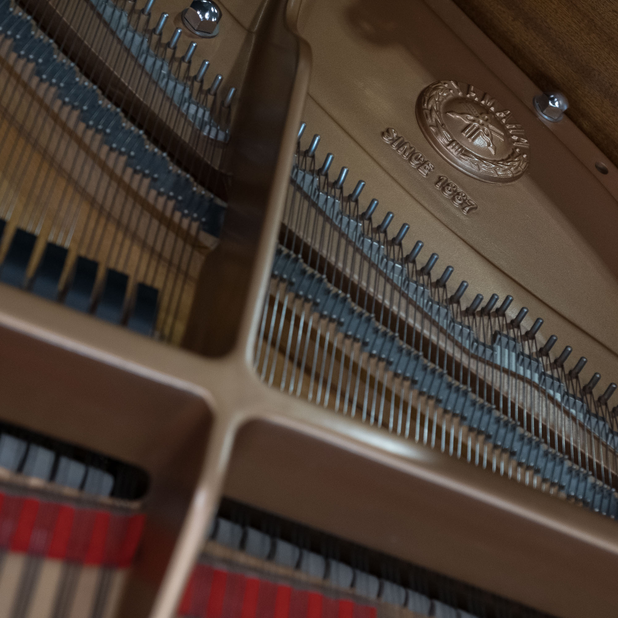 Used Yamaha C6 Grand Piano – c1999 - Coach House Pianos