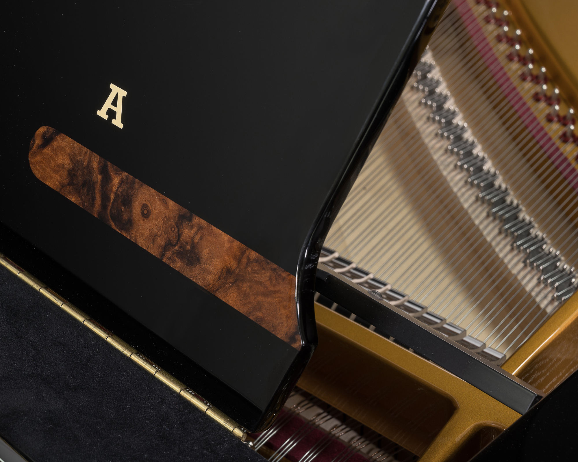 Sauter Alpha 160 Grand Piano - Coach House Pianos